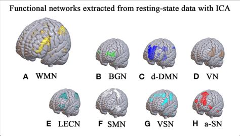 Functional Networks Extracted From Resting State Data With Ica With Download Scientific