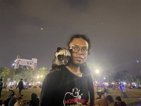 Musang Pandan Atau Biasa Disebut Luwak Bisa Jadi Peliharaan