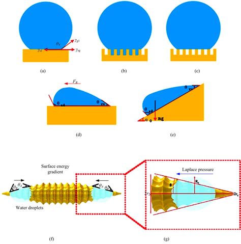 Basic Concept Models Of Droplet Wetting On Solid Surface A Youngs Download Scientific