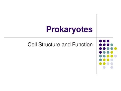PPT Prokaryotes PowerPoint Presentation Free Download ID