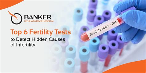 Ivf Centre In Ahmedabad 6 Fertility Tests Before Ivf