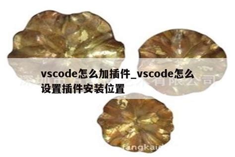 vscode怎么加插件 vscode怎么设置插件安装位置 陕西卓智工作室
