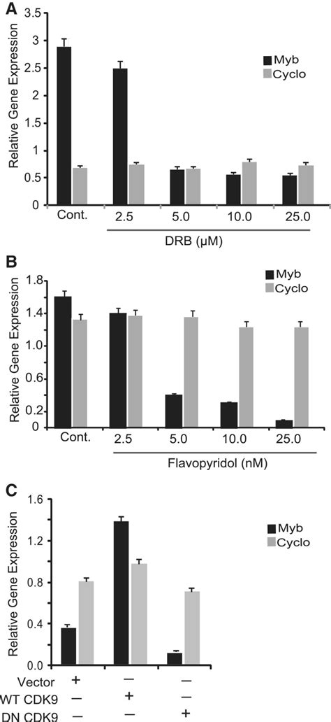 Functionally Active P Tefb Complex Is Selectively Required For Myb
