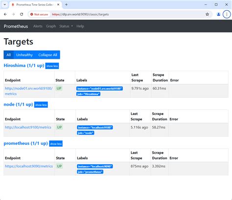Ubuntu 2404 Prometheus Add Monitoring Target Server World