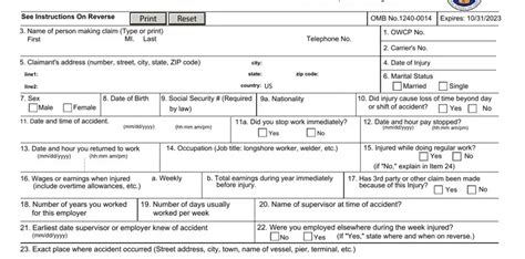 Form Ls 203 ≡ Fill Out Printable Pdf Forms Online