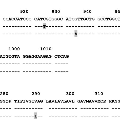 a the nucleotide sequence alignment of the exon 5 sequences and of