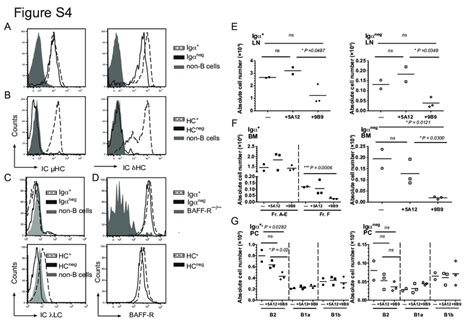 Figure S4 Intracellular Expression Of Bcr Components Expression Of