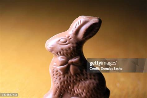 Rabbit Candy Photos And Premium High Res Pictures Getty Images