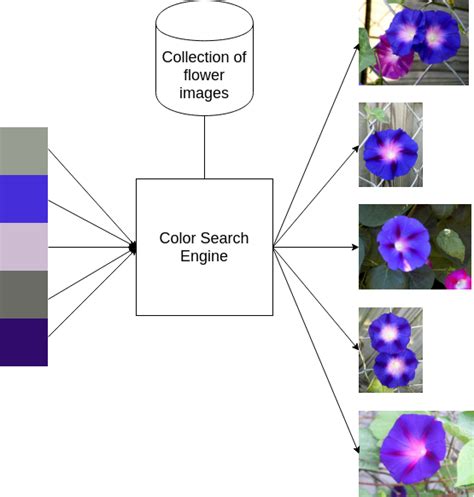 Precision Recall Accuracy And F1 Score For Multi Label Classification By Issa Memari
