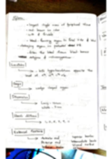 SOLUTION Lymphatic System Notes Anatomy Studypool