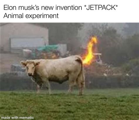 Next Human Experimentation Rmemes