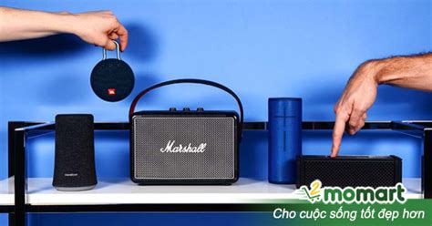 Loa Bluetooth cao cấp chính hãng giá tốt âm thanh đỉnh cao