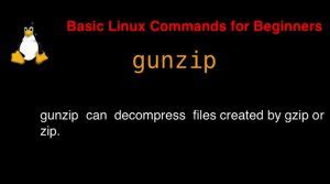 Mastering the gunzip command in Linux: A Comprehensive Guide with Examples - DevopsRoles.com ...