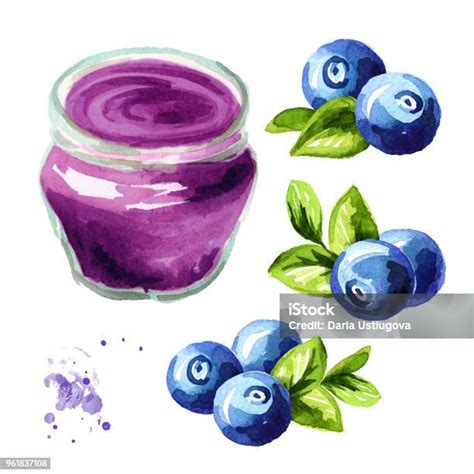 유기농 과일 잼 세트 블루베리 마멀레이드와 신선한 딸기 흰색 배경에 고립의 유리 항아리 수채화 손으로 그린 그림 마멀레이드에 대한 스톡 벡터 아트 및 기타 이미지 Istock