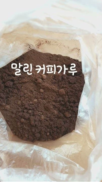 천연 식물 영양제 만들기 계란껍질비료양파껍질비료 커피가루비료홍삼즙비료plant Food Youtube