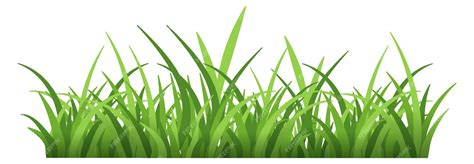 Premium Vector Lush Greenery Border Fresh Grass Nature Symbol