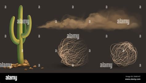 Rolling Desert Plant White Sands Yucca Plant Black And White Photo