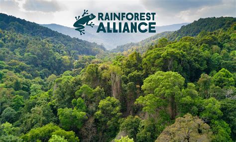 Khám Phá Các Loại Chứng Nhận Rainforest Alliance Natural Joint Stock