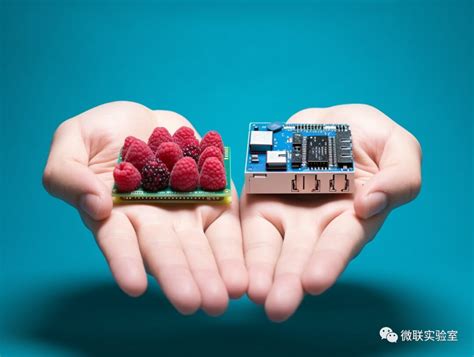 Raspberry Pi Vs Arduino Which One Is Right For You Boardor