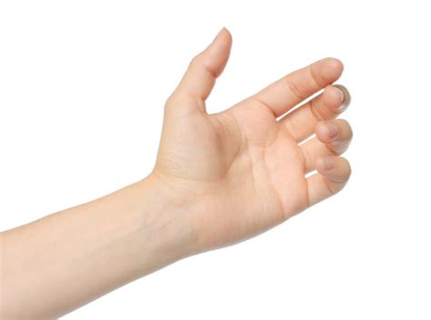 This Is What Your Hand Size Says About Your Personality David