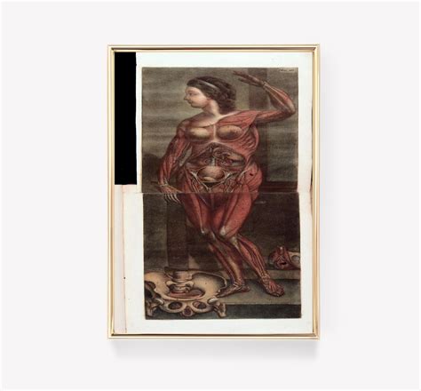 Vintage Anatomy Al Art Limited Edition Posters No Frame
