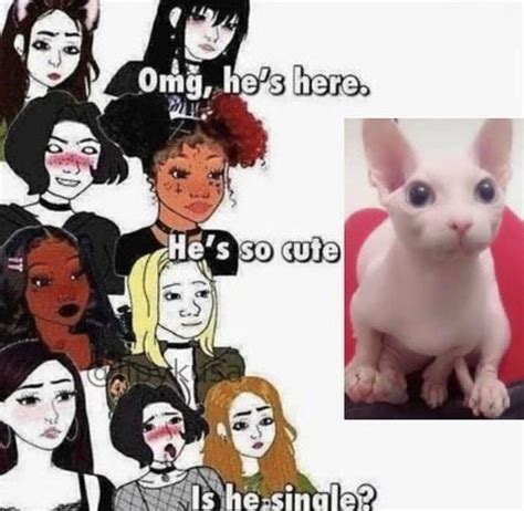 U R Very Loved Bingus R Bingus