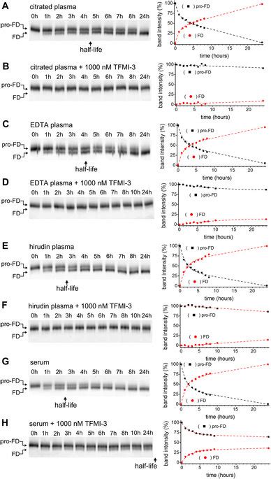Inhibition Of Pro Fd Activation By Tfmi 3 Conversion Of Cy3 Labeled Download Scientific