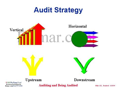 Audit Strategy