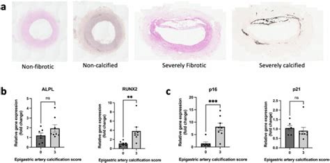 Legend Exceeds Word Limit Download Scientific Diagram
