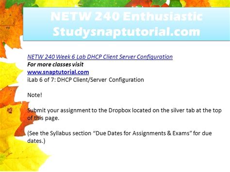 NETW 240 Enthusiastic Studysnaptutorial Com Ppt Download