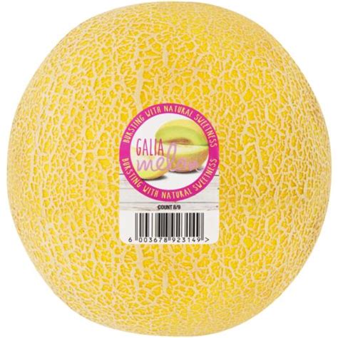 Galia Melon Check That