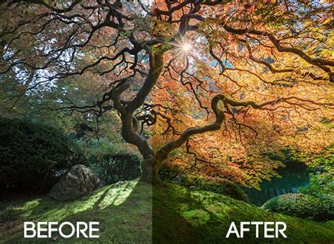 Why Post Processing Is A Photographers Weapon Resources Graphic