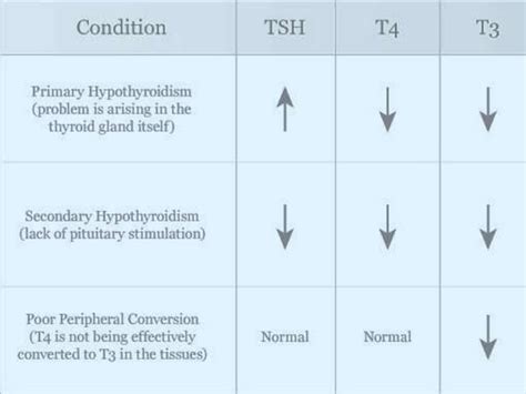 Hypothyroidism Evaluation And Management By Dr Selim Ppt Thyroid Disorders Endocrine And