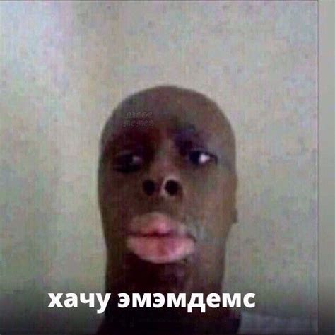 Хачу эмэмдемс
