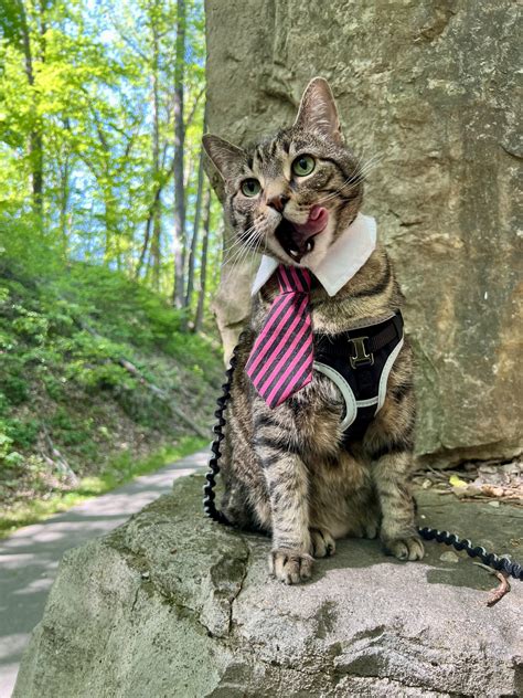Too Cute Not To Share R Eyebleach