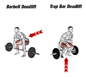Are Trap Bar Deadlifts Good For Baseball Topvelocity