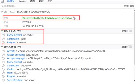 记录使用node js下载zip文件但由于idm的干扰不能正常下载的问题 204 intercepted by the xunlei