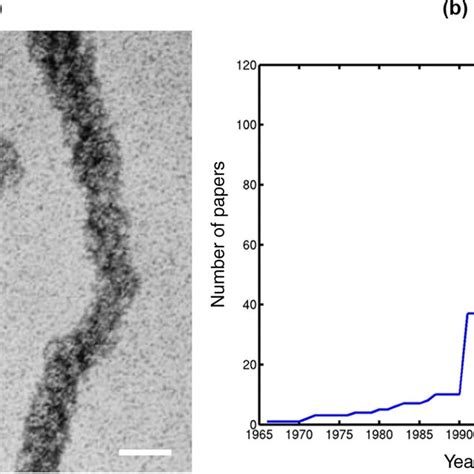 A Very Selective Gallery Of Chromatin Models A Schematic Models
