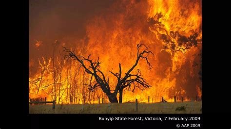 Marselis 2014 Vegetation Structure Mapping With Lidar For Forest Fire