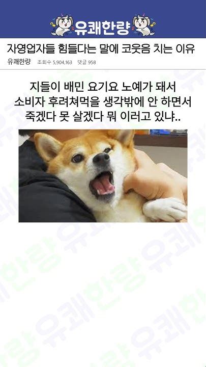 자영업자들 힘들다는 말에 코웃음 치는 이유 Youtube