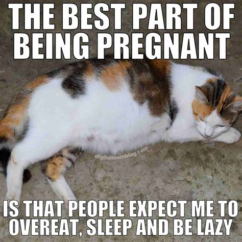 50 Hilarious Pregnancy Memes Every Mom To Be Will Relate To
