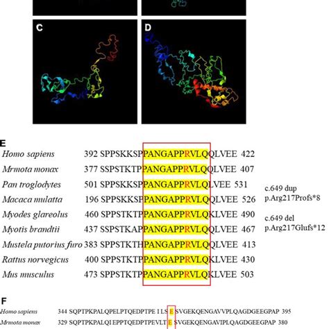 Three Dimensional Structure Of Proline Rich Transmembrane Protein 2 Download Scientific Diagram