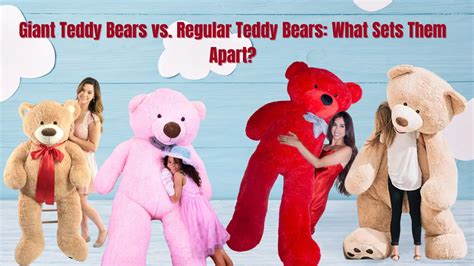 Giant Teddy Bears Vs Regular Teddy Bears What Sets Them Apart Boo Bear