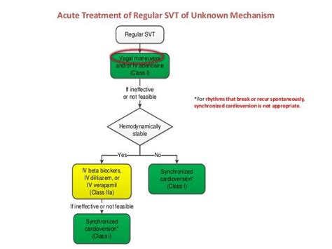 2015 Svt Guideline Final 19 10 2015
