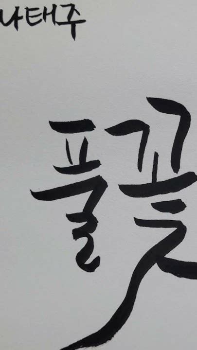 힐링 풀꽃 나태주 좋은시 성우 표영재채널 Youtube