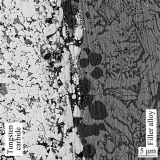 Sem Image Of Cemented Carbide Download Scientific Diagram