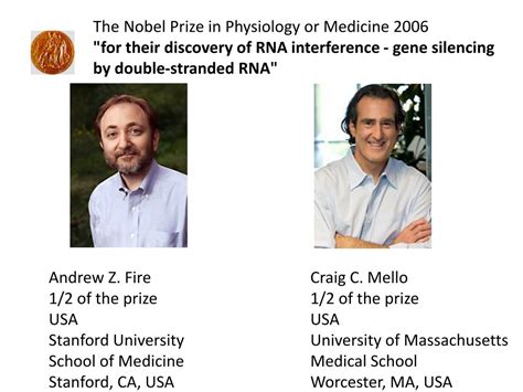 Ppt Rna Silencing Powerpoint Presentation Free Download Id 2227490