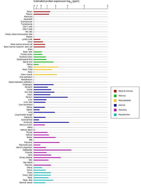 Fbn1 Gene Genecards Fbn1 Protein Fbn1 Antibody