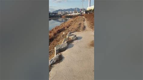 긍정확언 나의 다짐 나의 결심 나의 슬로건 성공메시지 긍정에너지 자성예언 중랑천 청렴교육강사 청렴메신저 권수일 Youtube