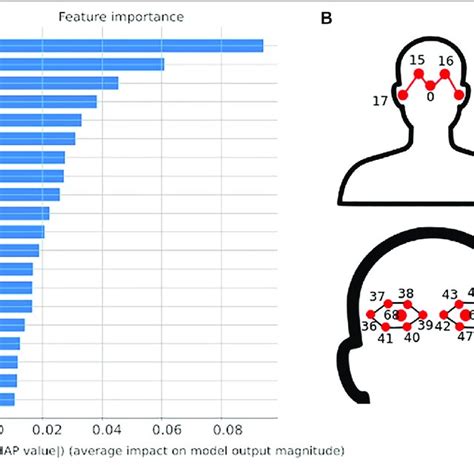feature importance a bar plot reporting on the x axis the shap